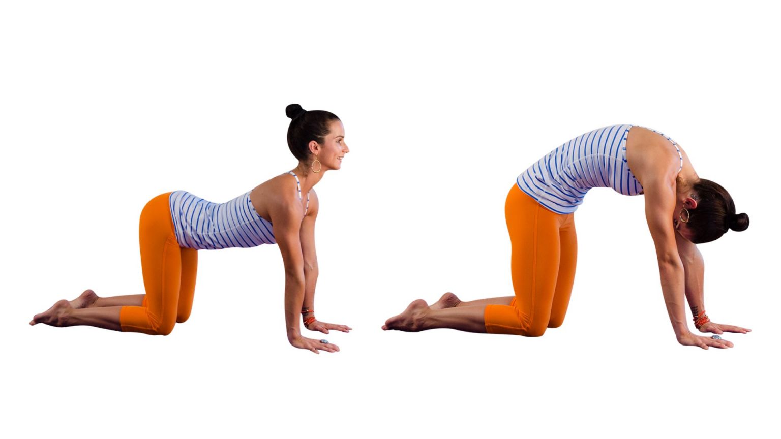 Best Exercises For Lower Back Pain Relief | Back Pain Treatment NJ ...