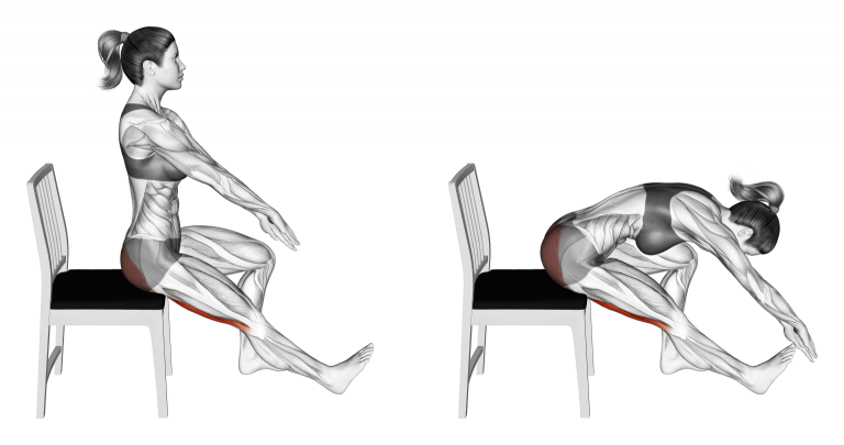 Best Exercises For Lower Back Pain Relief | Back Pain Treatment NJ ...